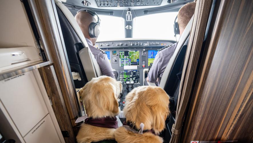 Flexjet Assists in VIP 'Very Important Pooch' Delivery | Aviation ...