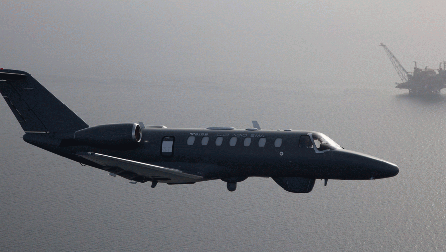 Bird Aerosystems Launches Environmental Monitoring System | Aviation ...