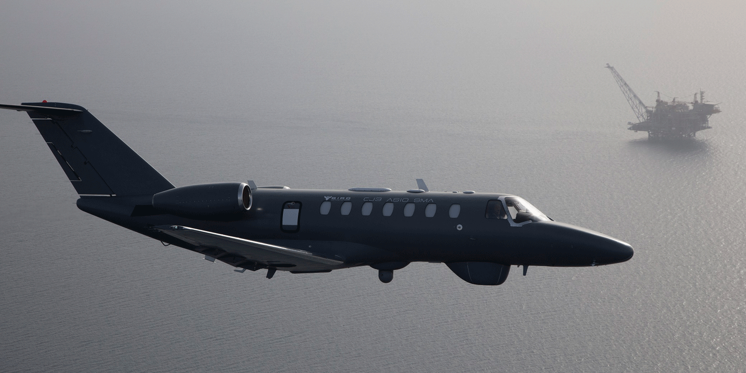 Bird Aerosystems Launches Environmental Monitoring System | Aviation ...